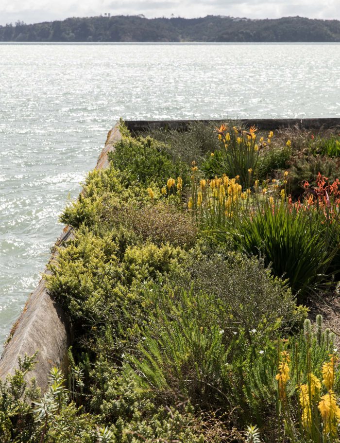 Here's how this coastal garden made the most of its oddly shaped location