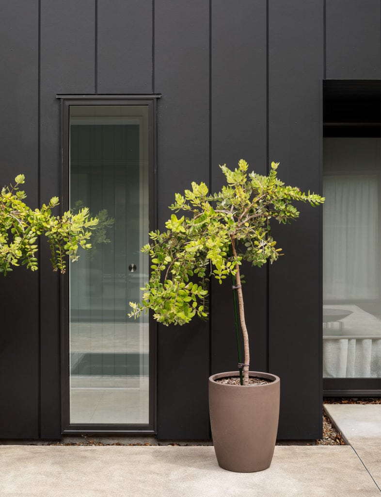 This Waikanae home makes a statement with its oversized black cladding