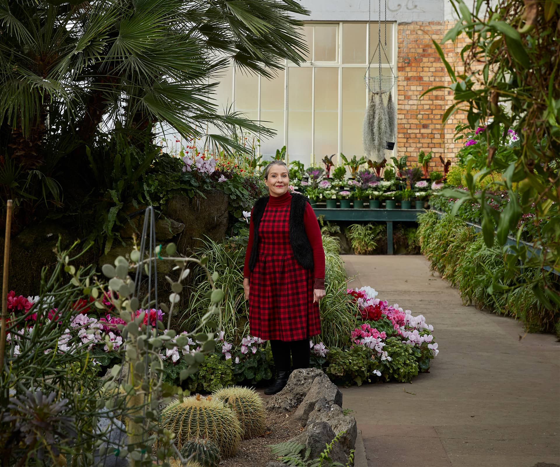 Why Auckland's Wintergardens are an example of innovative architecture