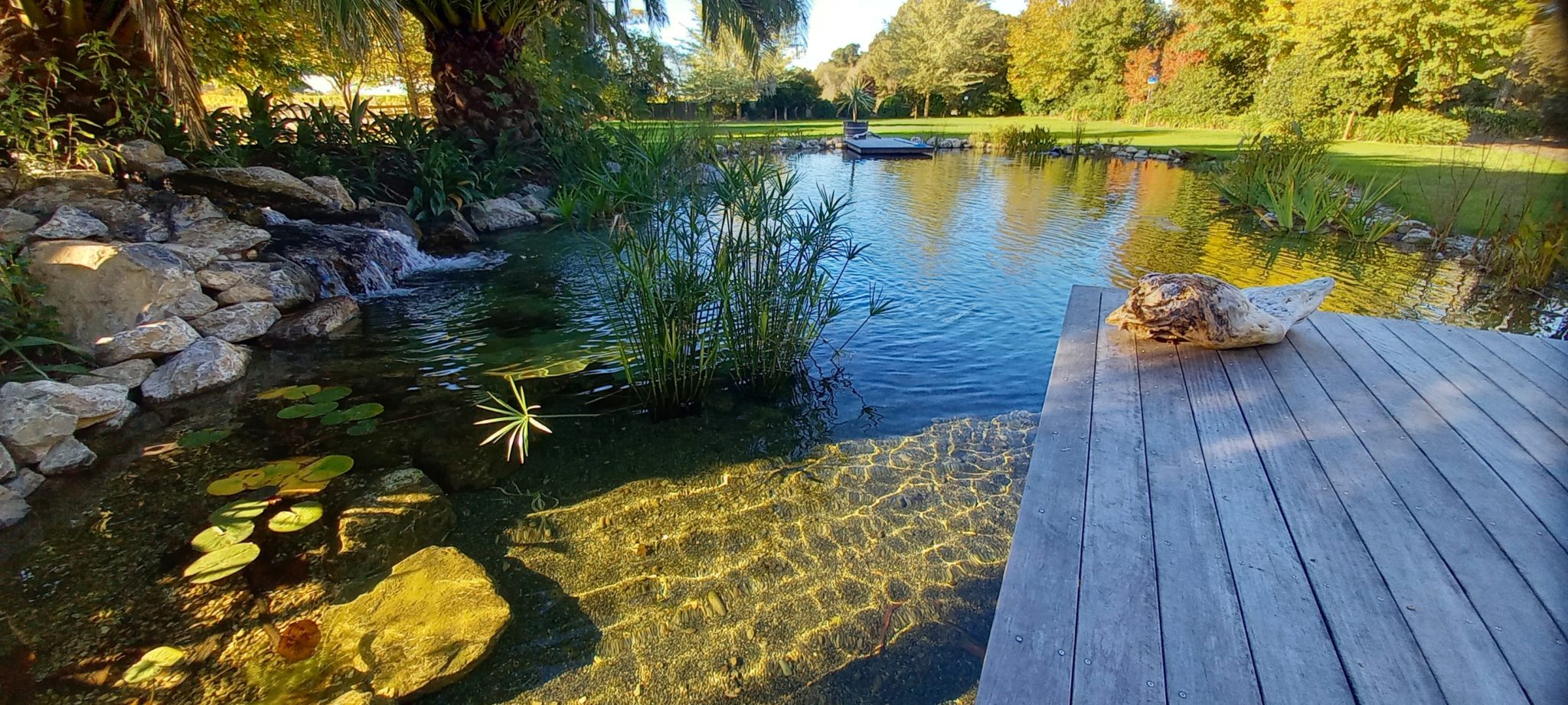 Living and natural pool design | Landscapes | HOME Magazine