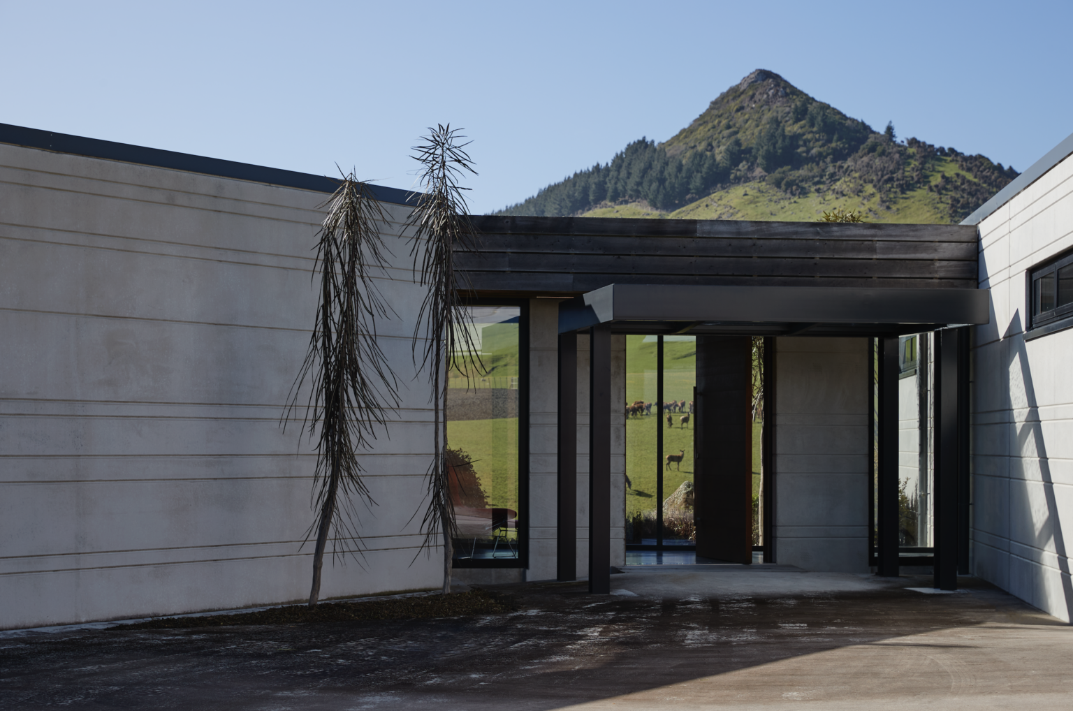 Breathing new life into New Zealand villas | HOME Magazine