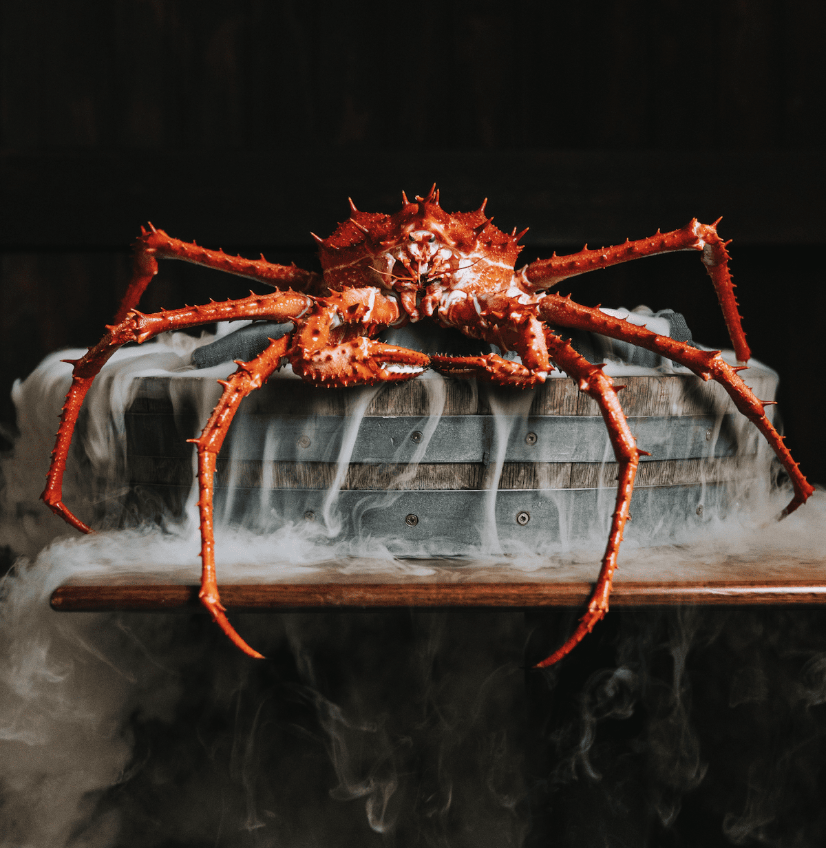 A culinary journey at Amisfield