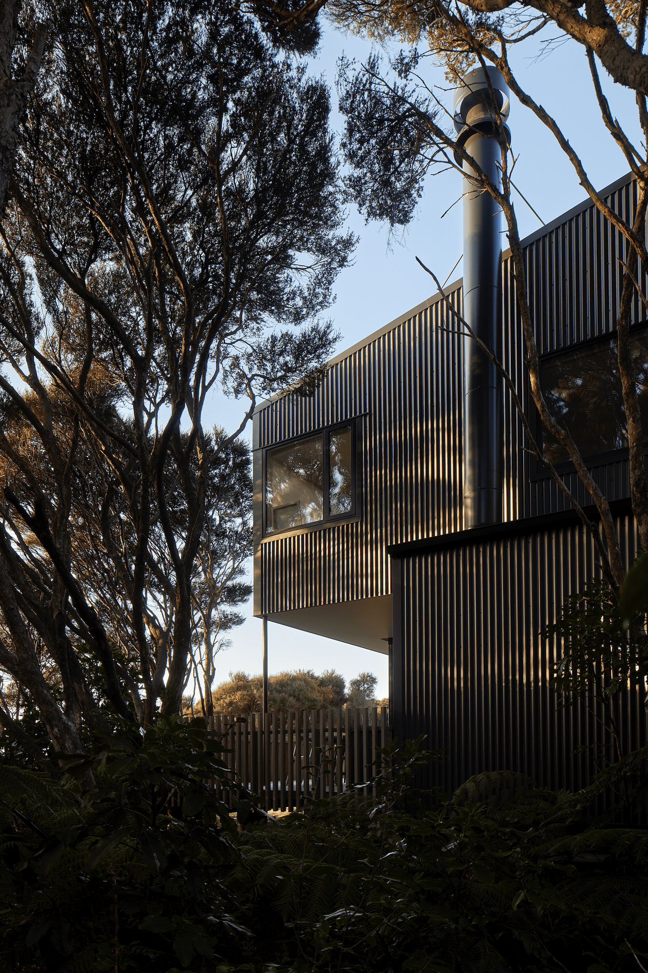 A home among the trees