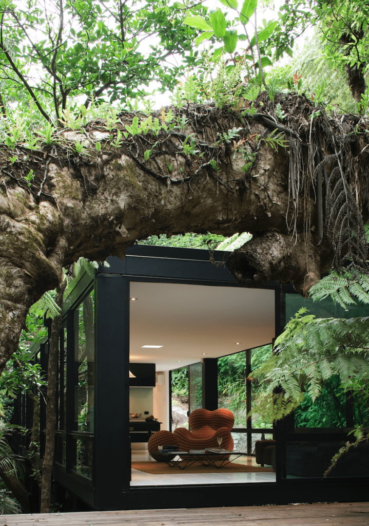 A sneak peek inside John Scott's impressive work from the 1970s